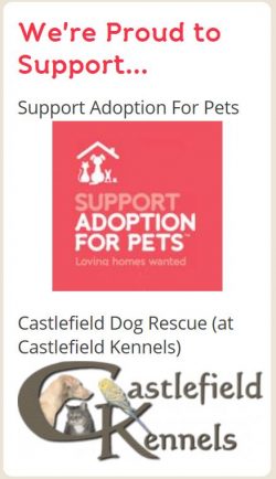 All the Latest News from Castlefield Kennels Derbyshire