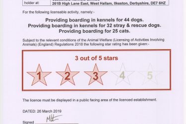 Dog Boarding Kennels Derbyshire | Castlefield Kennels