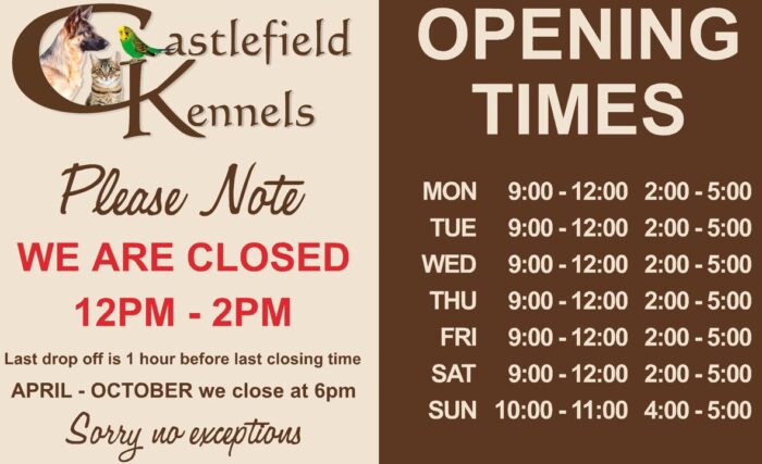 All the Latest News from Castlefield Kennels Derbyshire